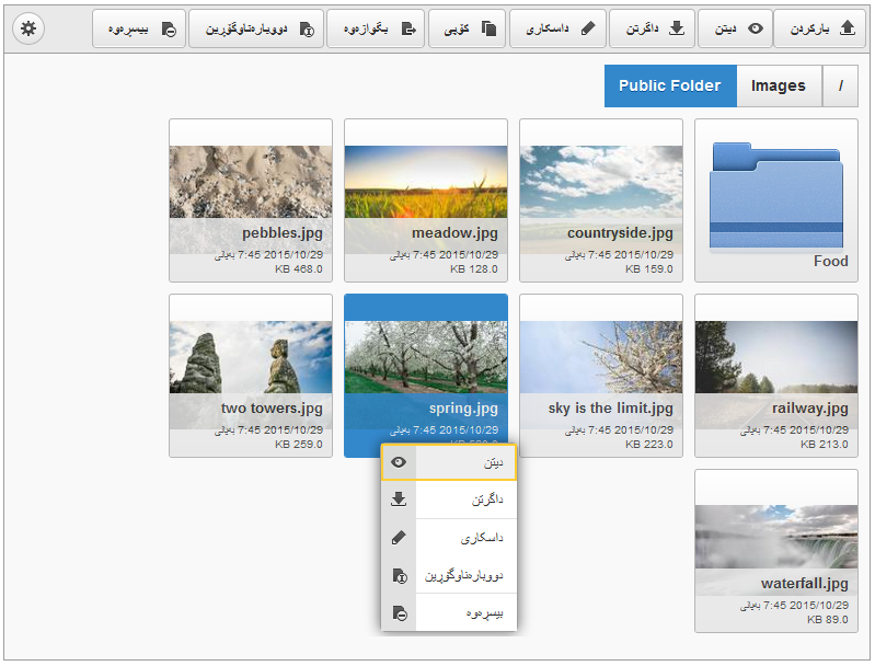 Ckfinder 33 For Aspnet Released 
